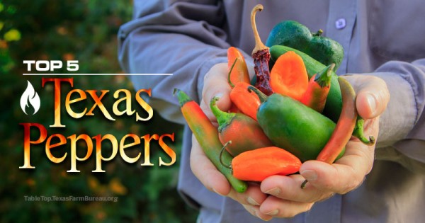 Top 5 Texas Peppers – Texas Farm Bureau – Table Top