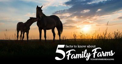 5 facts to know about family farms – Texas Farm Bureau – Table Top