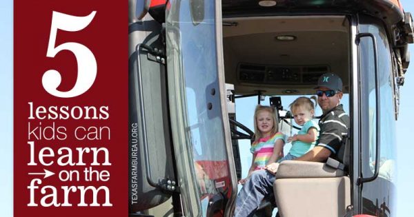 5 lessons kids can learn on the farm this summer – Texas Farm Bureau ...