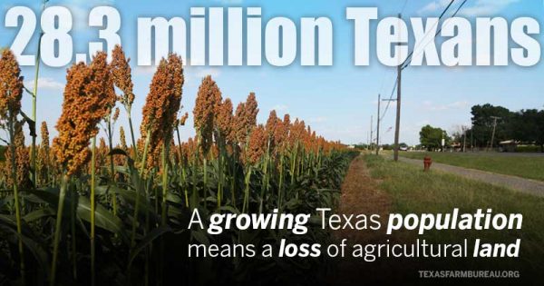 What does a growing Texas population mean for agriculture? – Texas Farm ...