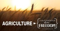 Where would America be without agriculture? – Texas Farm Bureau – Table Top