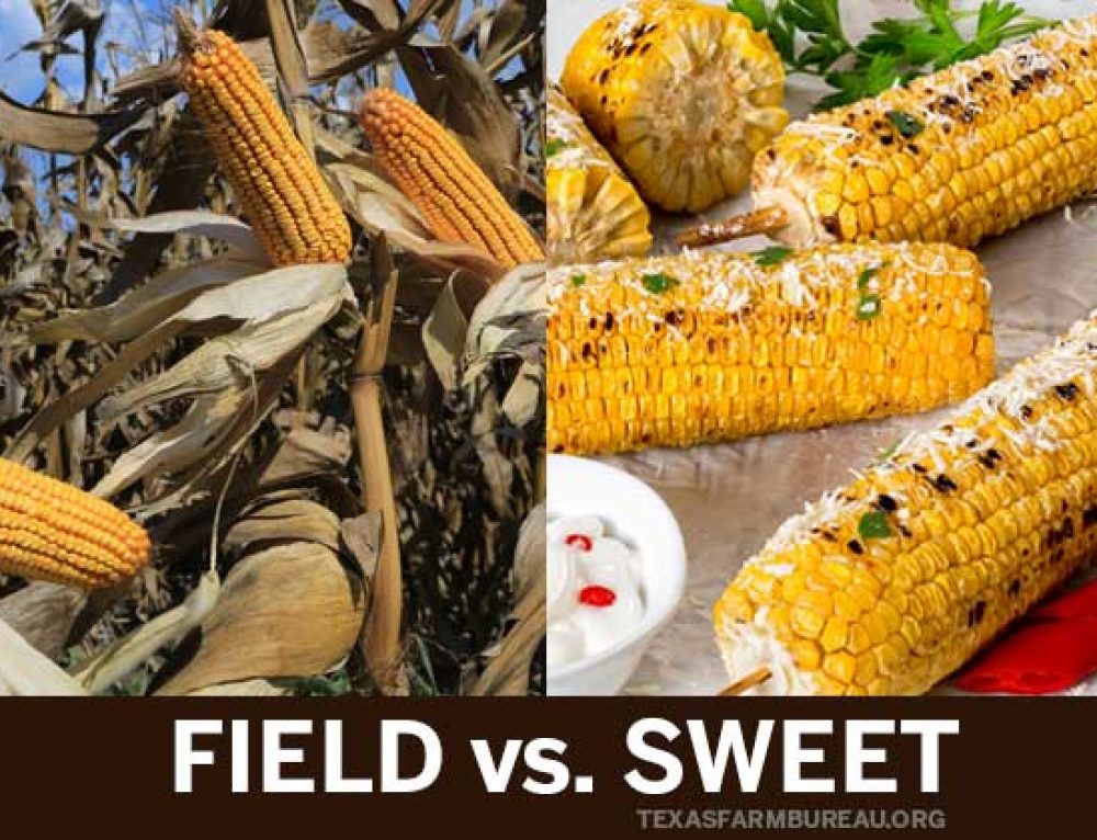 Efurd Orchards Peach Cobbler – Texas Farm Bureau – Table Top