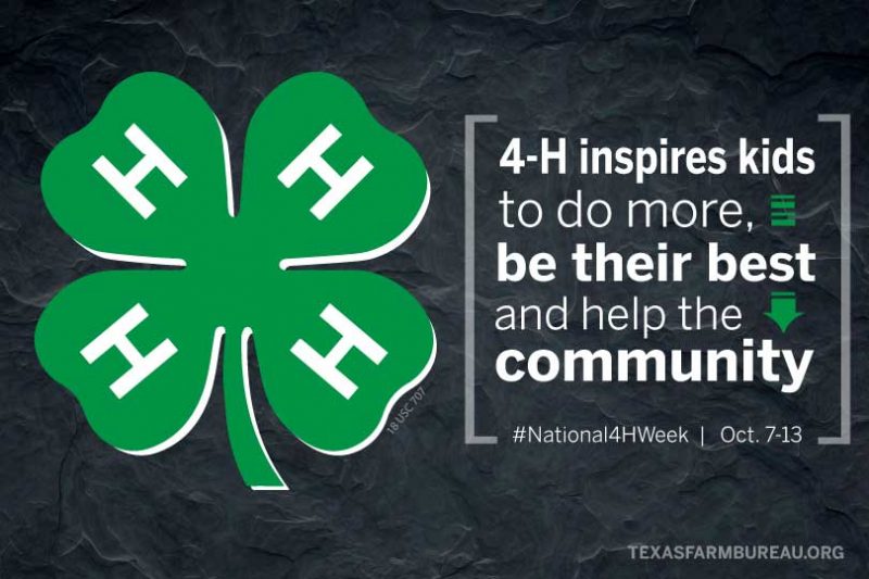 4-H inspires kids to do more in Texas – Texas Farm Bureau – Table Top