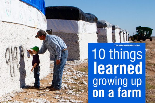 10 things kids learn growing up on a farm – Texas Farm Bureau – Table Top