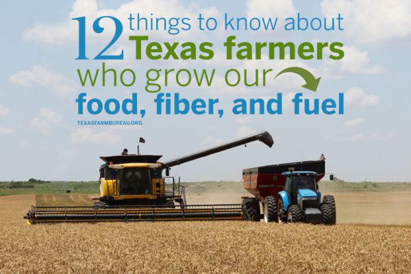 12 things to know about Texas farmers – Texas Farm Bureau – Table Top
