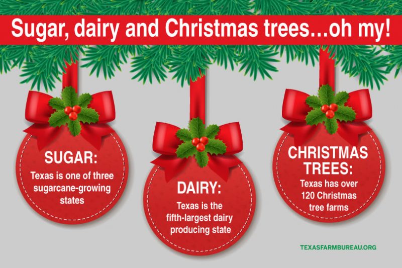 Super Christmas ag facts – Texas Farm Bureau – Table Top