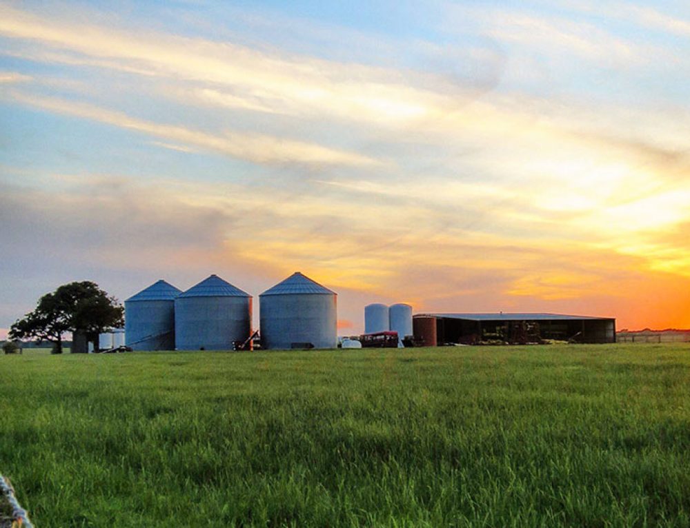 Spaghetti Pie – Texas Farm Bureau – Table Top