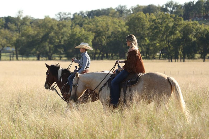 Women are a driving force in agriculture – Texas Farm Bureau – Table Top