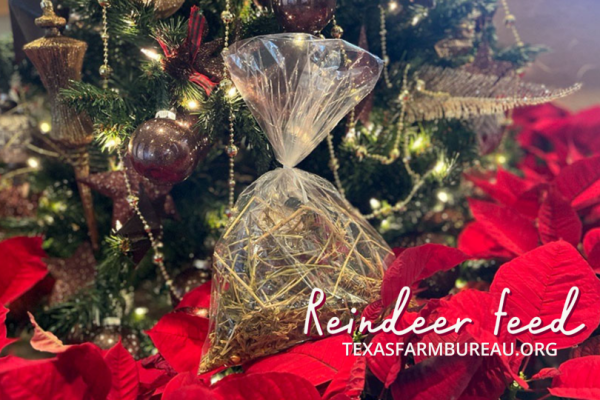 Refueling Santa’s reindeer – Texas Farm Bureau – Table Top